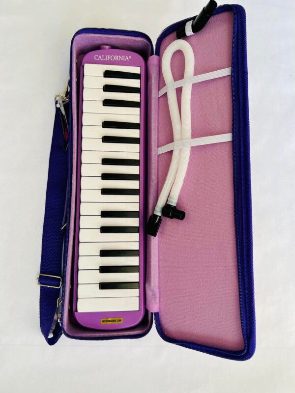 Melodica Pianica Color Lila Morado – Violinperu.com